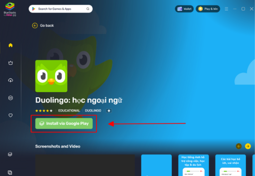 Duolingo PC Version: How to Download Duolingo on PC Super Easy